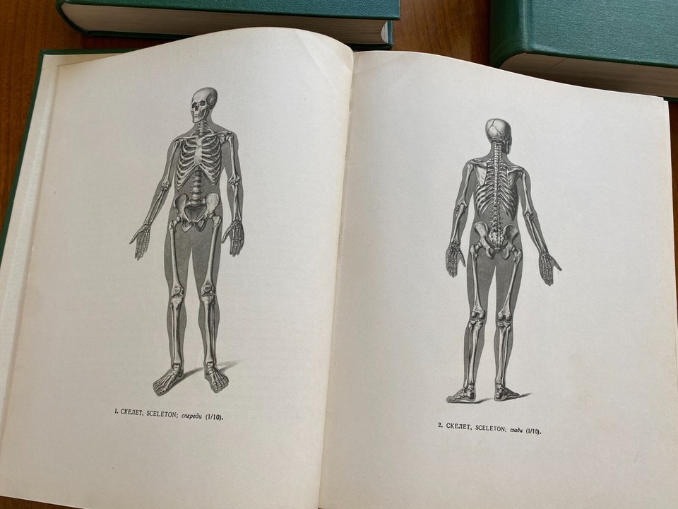 Atlas of Human Anatomy Sinelnikov Set of 3 Soviet Books Vintage USSR ...