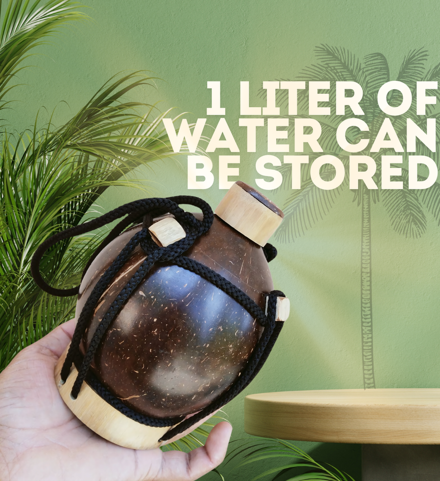 Coconut Shell Water Bottle Handcraft | eBay