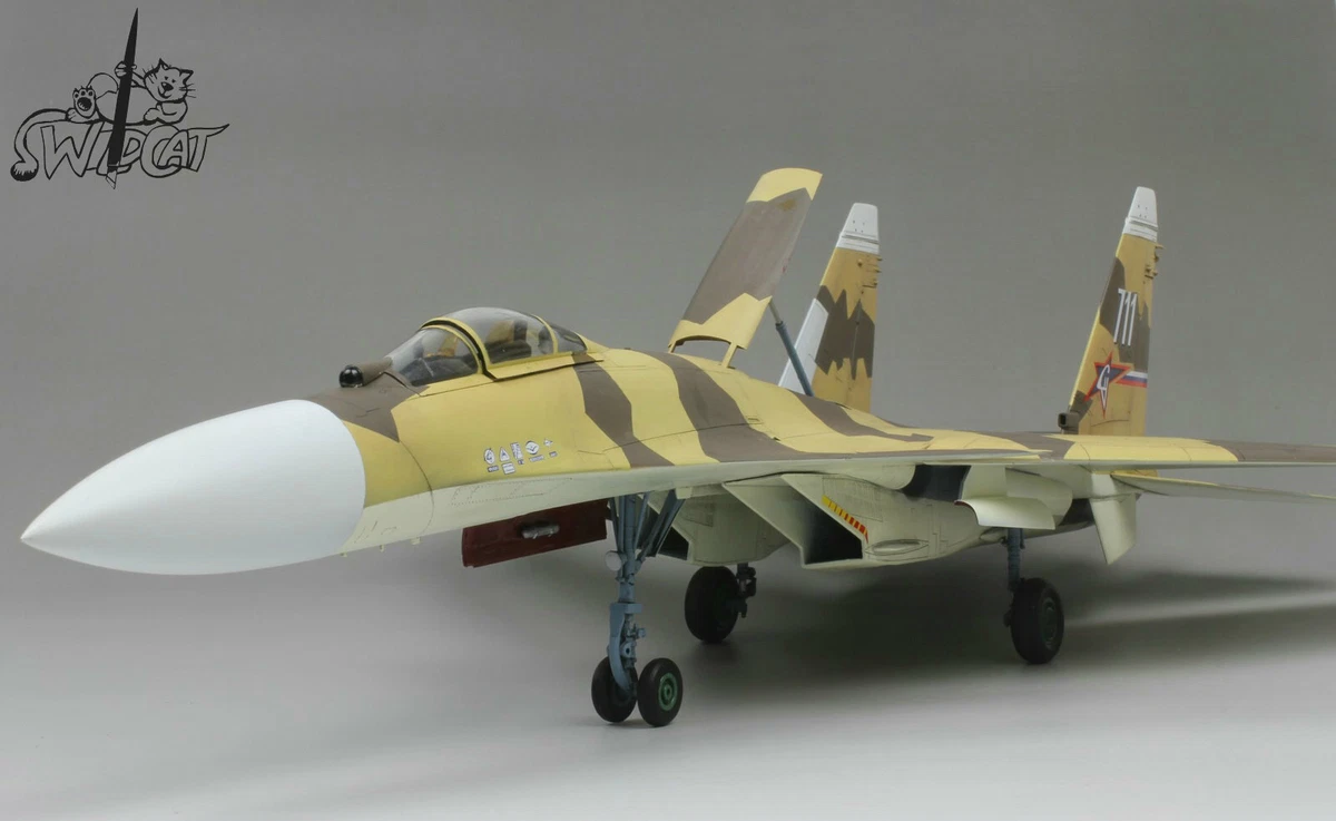 Su 35 Terminator