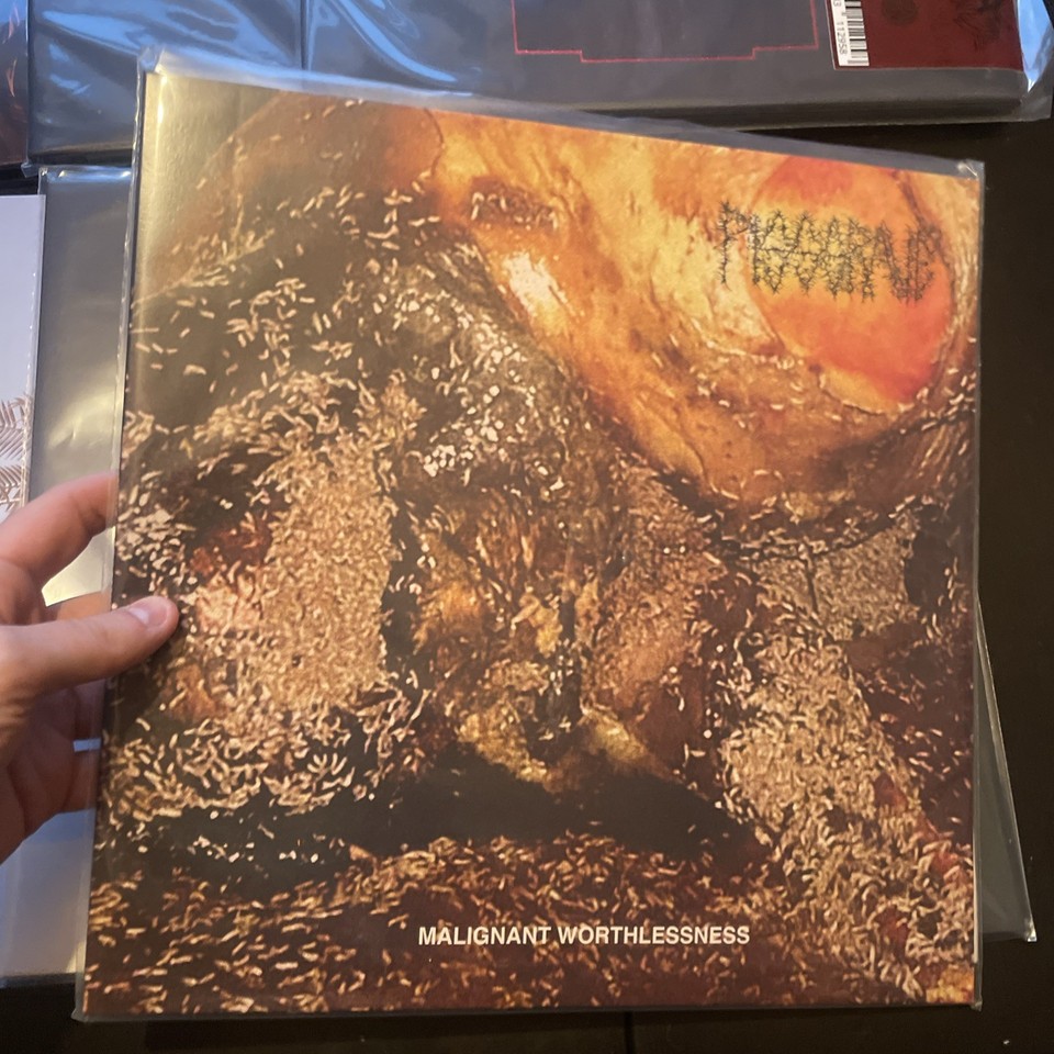 Black Metal Vinyl Bundle Job Lot Akhlys Pissgrave Saidan Ulcerate | eBay UK