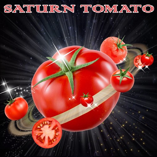 10 x 'SATURN' TOMATO SEEDS-VERY SWEET-HEIRLOOM GOURMET-ASIAN FOOD ...
