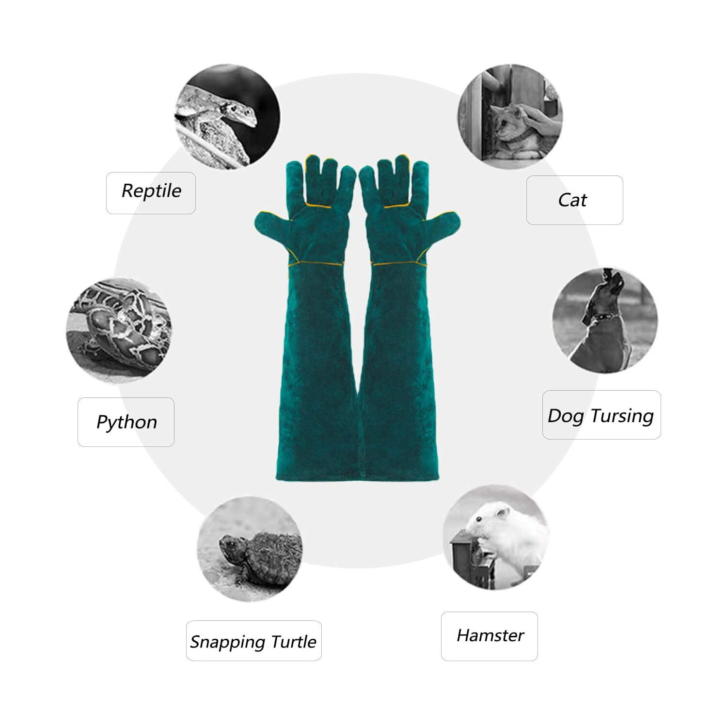 Animal Training Handling Anti Bite Proof Scratch Gloves Pet Dog Cat ...