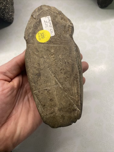 MLC s6221 Banded Slate Stone Half Grooved Adz Axe Wayne Co Illinois ...