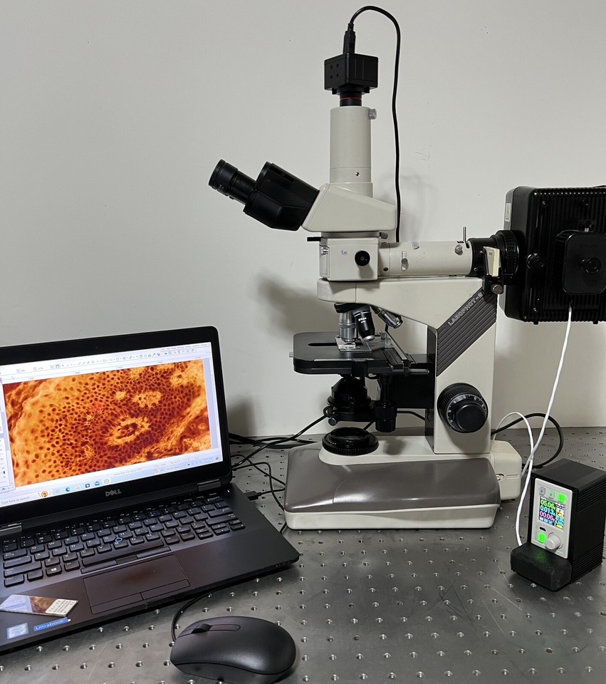 Nikon Labophot 2 LED Fluorescence Microscope + Upgraded Power | eBay