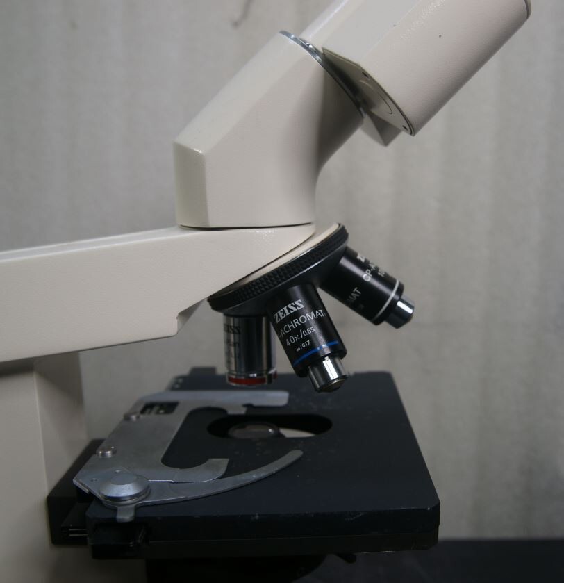 Carl Zeiss Axiostar plus Microscope x10,x40,x100 | eBay