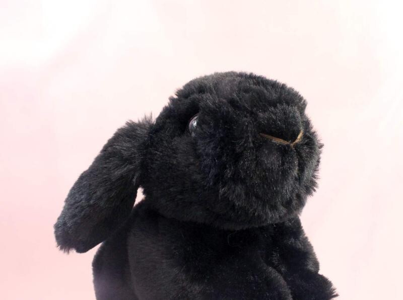 Take-Off Rabbit Maron Holland Lop Black Plush Toy From JAPAN | eBay