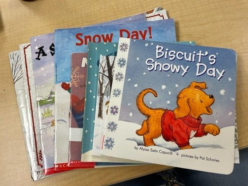 Winter/Snow Book Lot of 7 | eBay