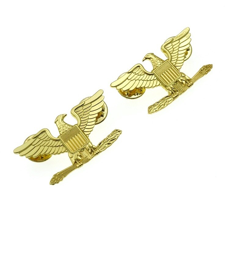 Full Bird Colonel Insignia Lieutenant Colonel (United States)