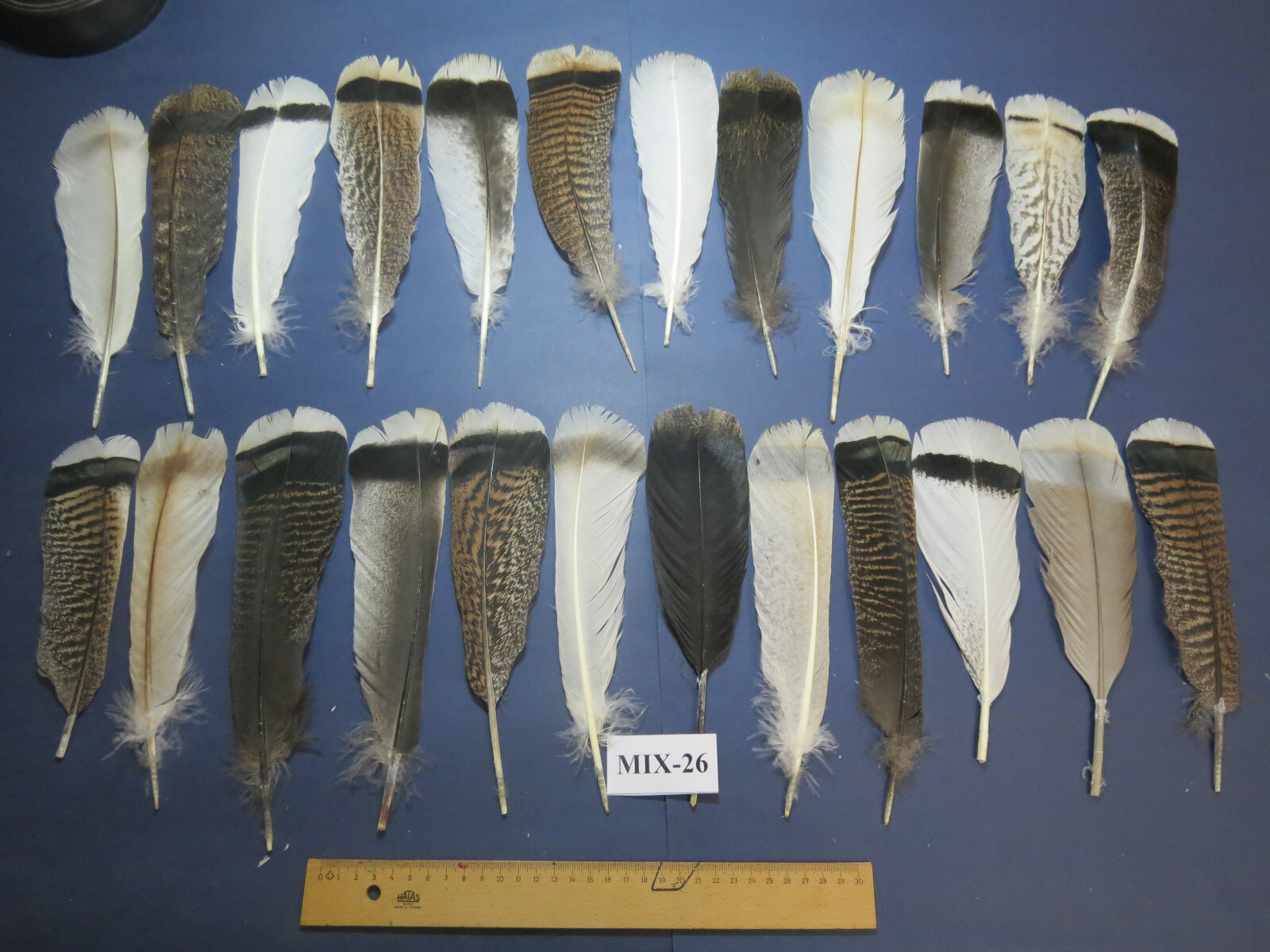 24 Pcs Natural Turkey Tail Feathers, Fly Tying Materials, Genuine ...