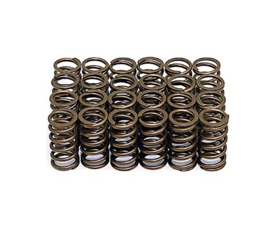 Ferrea Dual Valve Springs For BMW 3- SERIES (S42-M42-S50-M50-M51-M52 ...