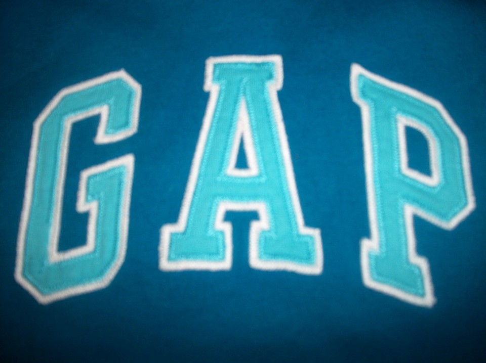 GAP LOGO PULLOVER HOODIE SWEATSHIRT TEAL BLUE PURPLE WOMENS SZ L 12 14 ...