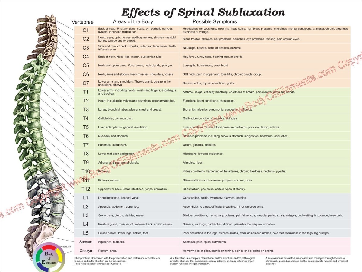 Spinal Function Chart Nerve Chart | Chiropractor In Sacramento, CA