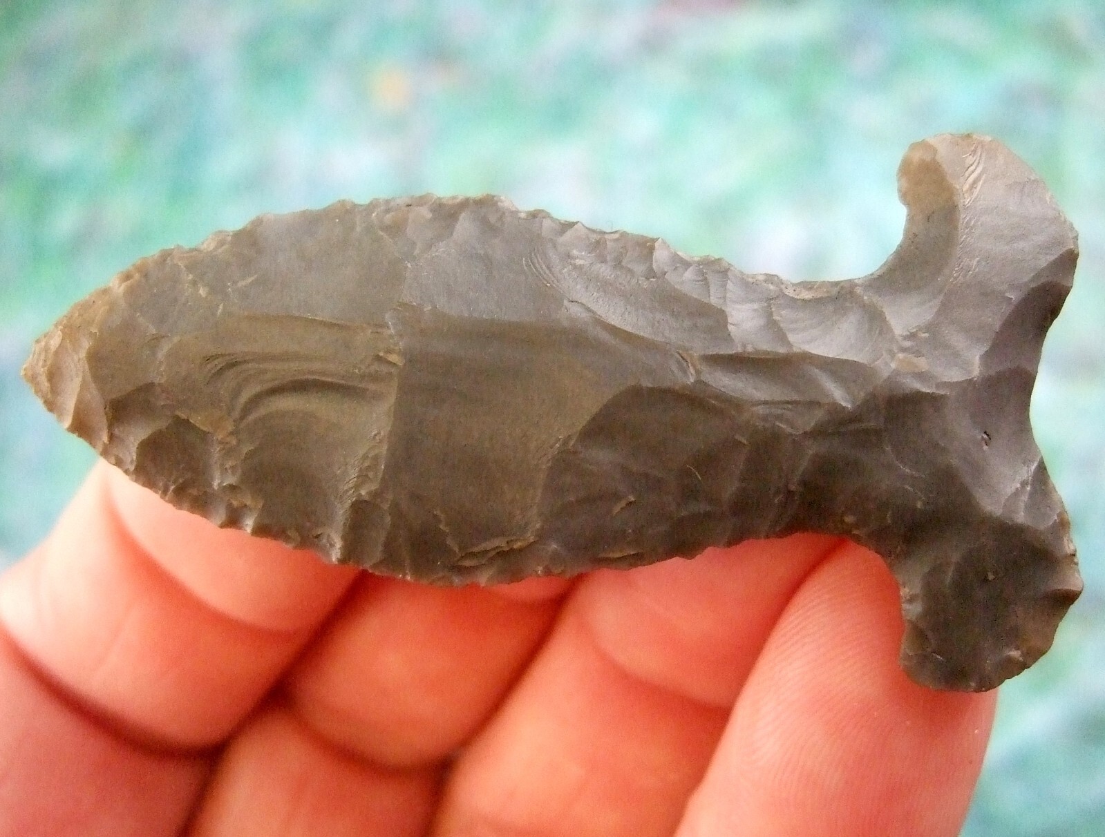 Super Fine Florida Coastal Flint Mustache Simpson Point with COA ...