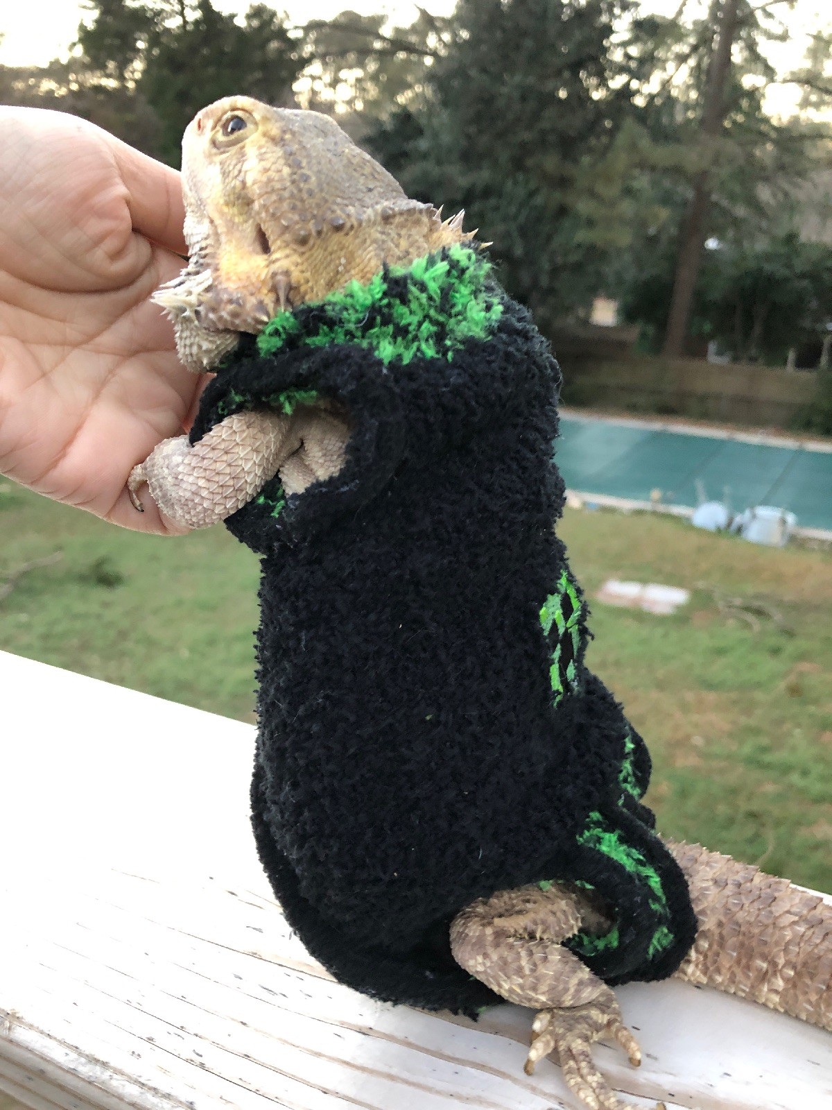 MINECRAFT PRINTS SNUG XLRG SLEEVELESS BODY SHIRT 4 UNISEX BEARDED ...