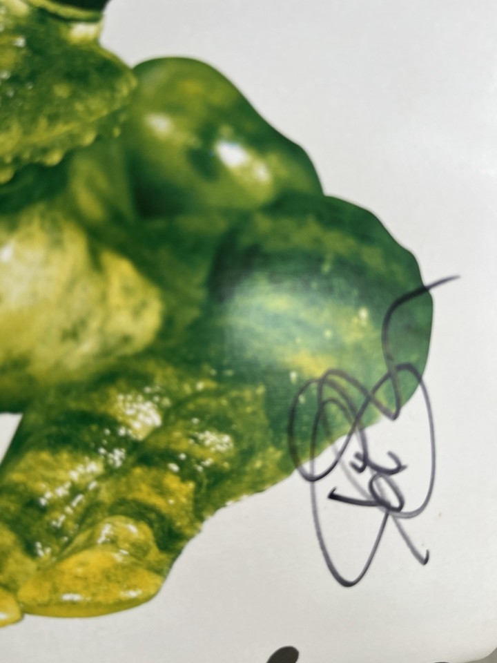 Rare SILVERCHAIR original promo poster for "FROGSTOMP" album ...