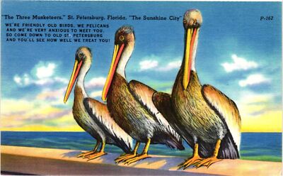 Vintage Postcard- THE THREE MUSKETEERS, WE'RE FRIENDLY OLD BIRDS, WE ...