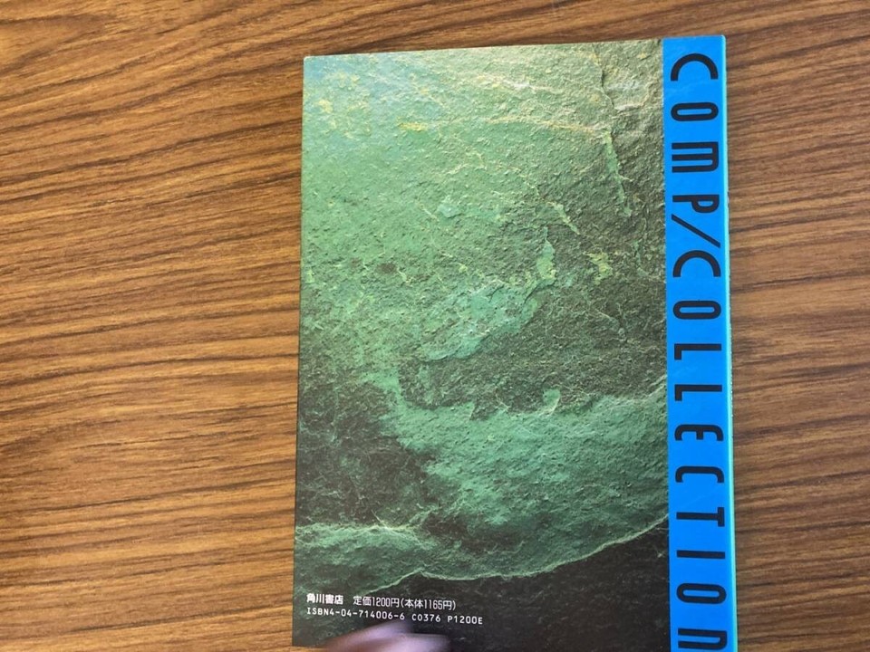 Lodoss War Companion2 Z Guidebook, Used, Collectible ww3 | eBay UK