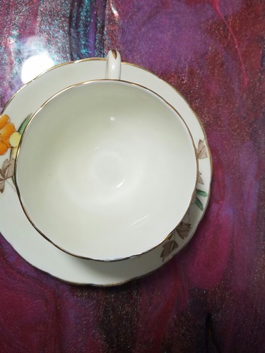 FOLEY CREAM FLORAL CUP SAUCER SET CHINA FLOWERS #5487 | eBay