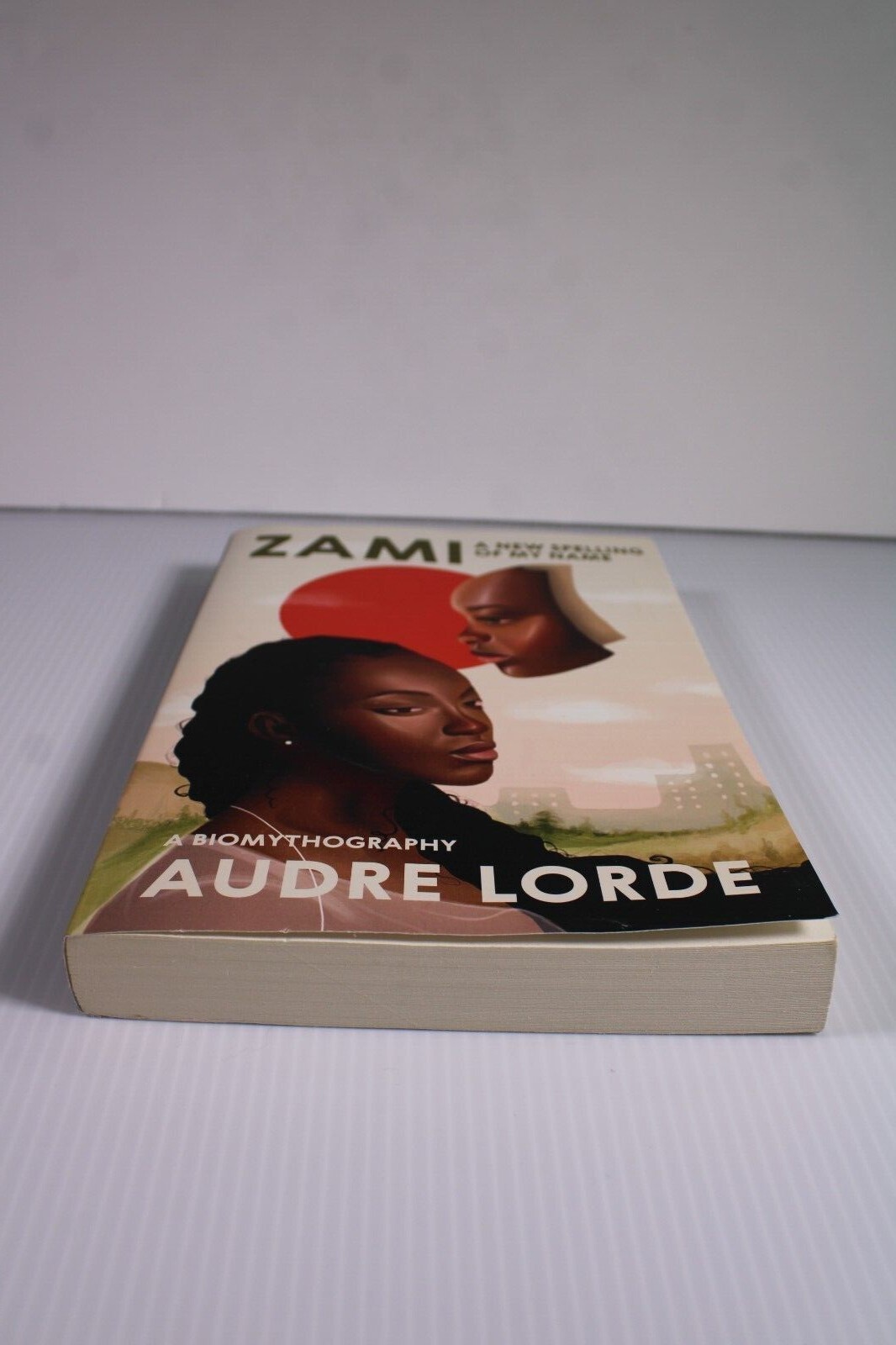 Zami: A New Spelling of My Name - A Biomythography by Audre Lorde | eBay