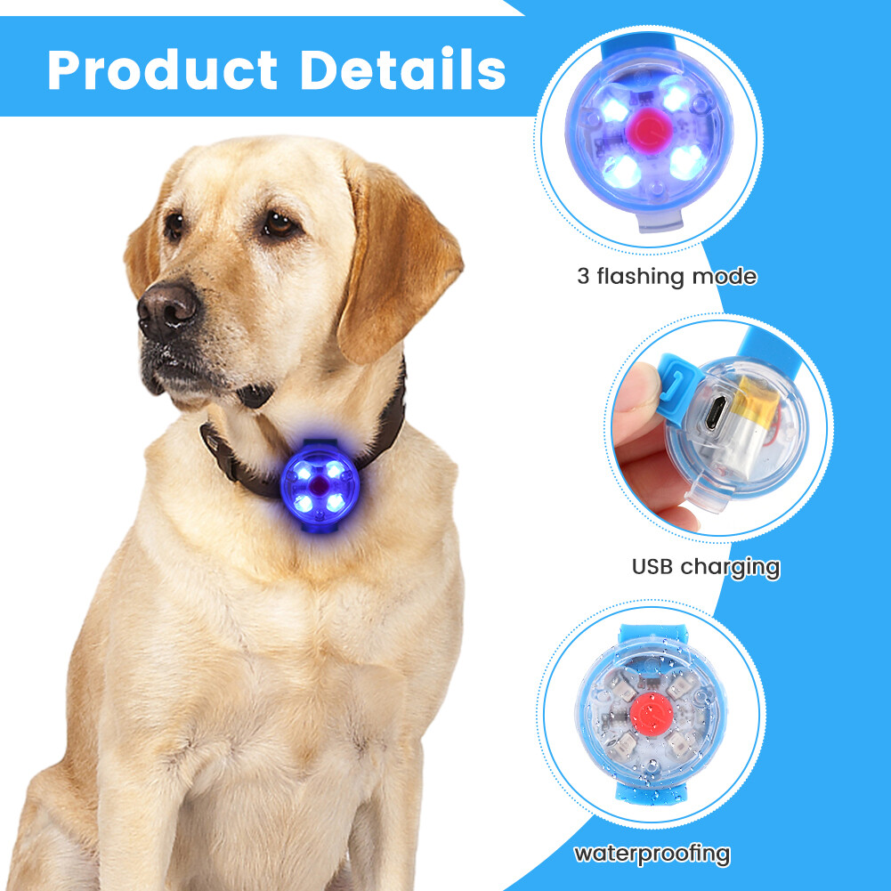 2pcs Safety USB Rechargeable For Night Walking Hiking Dog Collar Light ...