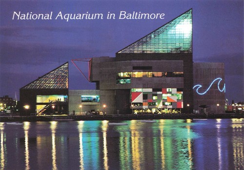 Postcard MD Baltimore National Aquarium Night Inner Harbor Fresh Slat ...