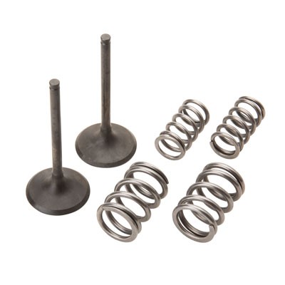 Pro X 28.SIS4406-2 Steel Intake Valve/Spring Kit | eBay