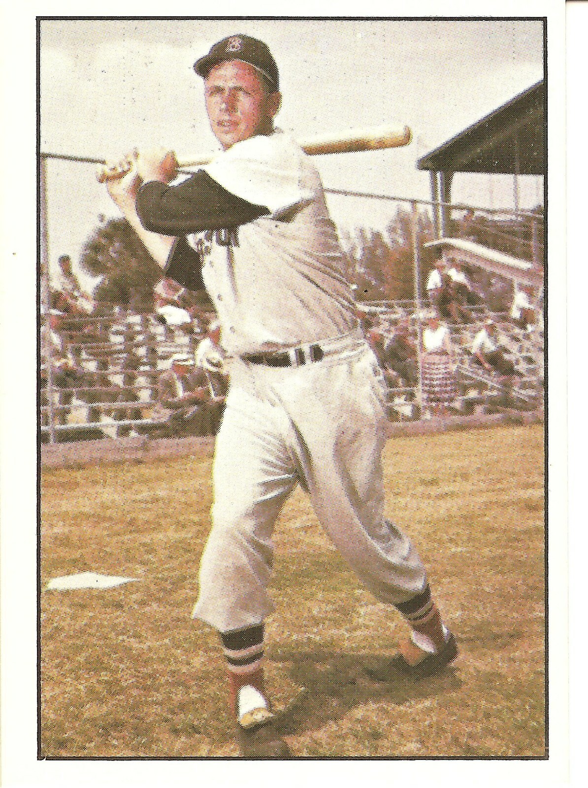 1979 TCMA SAMMY WHITE BASEBALL CARD #95 | eBay