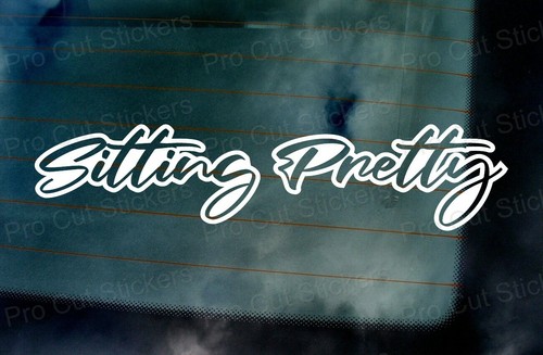 Sitting Pretty Custom Slogan Car Window Bumper Small to Large Stickers ...
