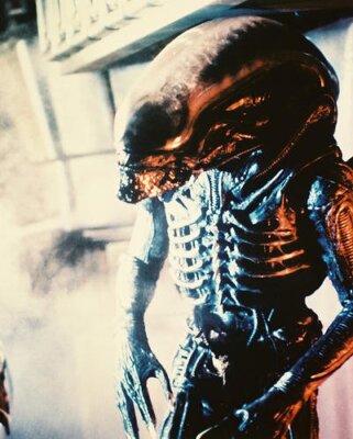 Alien Bolaji Badejo 11x14 inch Poster | eBay