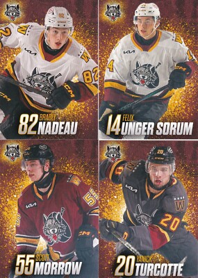 2024-25 Chicago Wolves AHL Carolina Hurricanes Pick A Card Nadeau ...