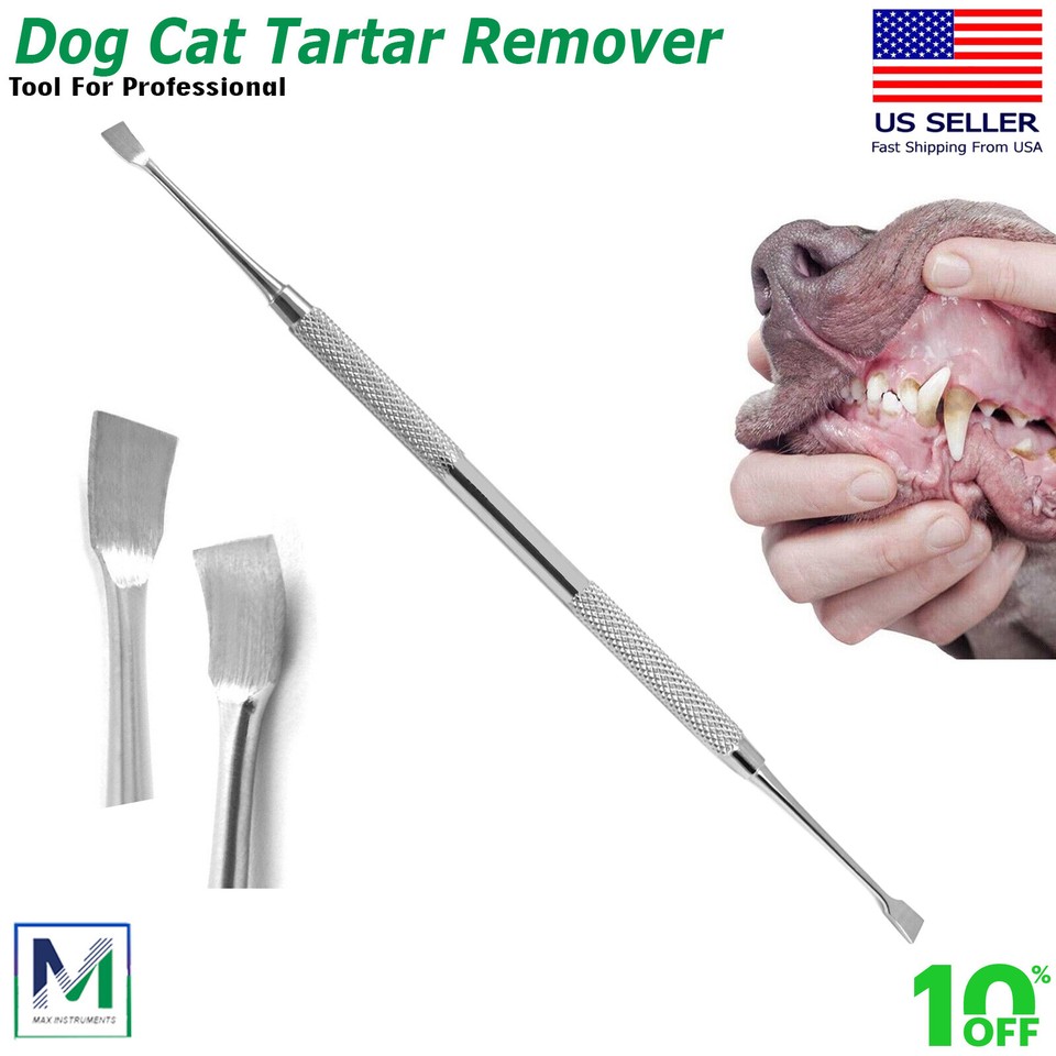 Tartar Calculus Remover Dental Veterinary Dog Pet Tooth Filling ...