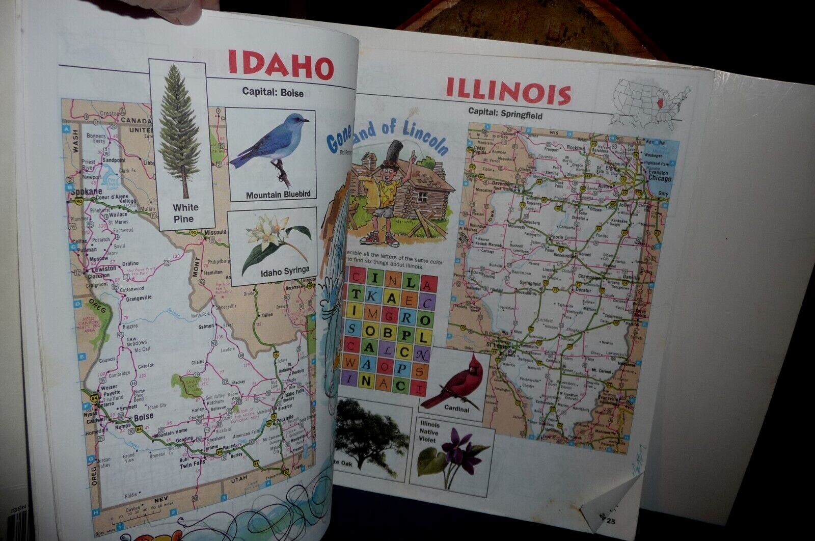 Kids' U.S. Road Atlas: Backseat Books by Rand McNally: Used 1992 | eBay