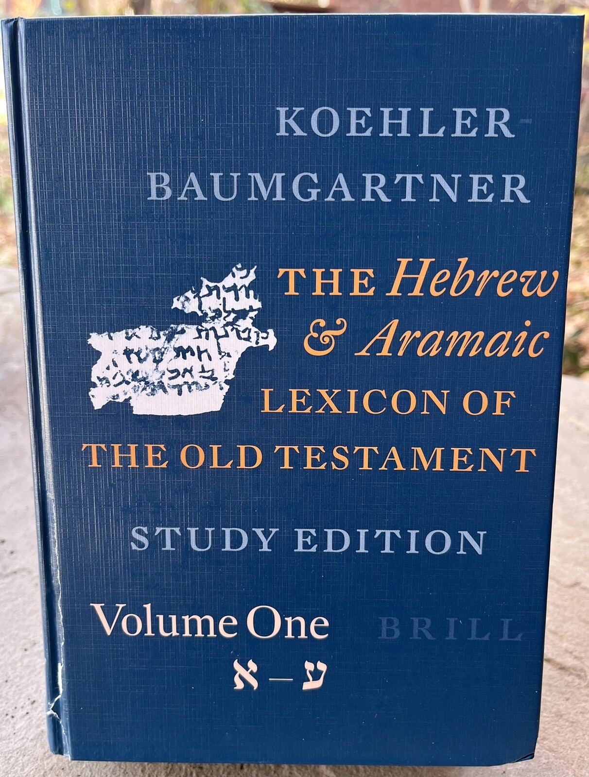 The Hebrew and Aramaic Lexicon of the Old Testament - VOL. 1 & 2 ...