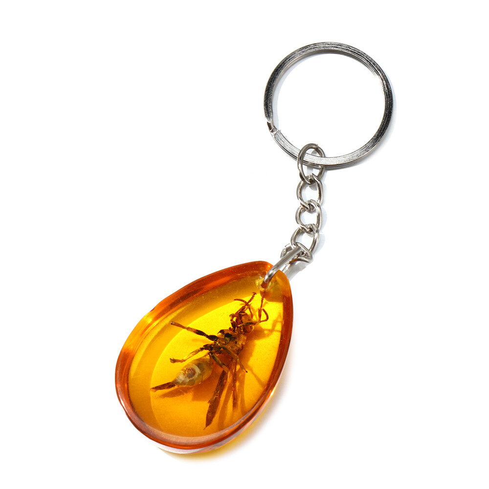 Keyring Keychain Amber Key Chain Key Holder Insect Specimen Chain ...