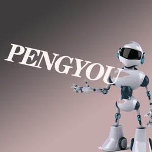 plc-pengyou | eBay Stores
