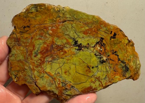 Green Dream Jasper Rough Slab! NV | eBay