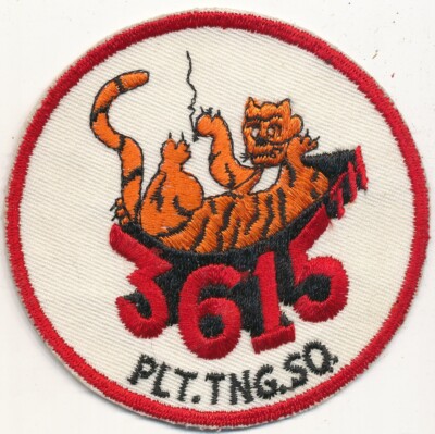 3615th Pilot Training Squadron patch vintage tiger US USAF US Air Force twill | eBay