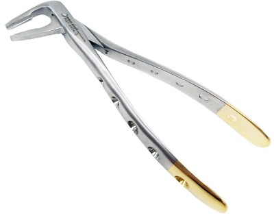 Dental Extraction Forceps – 74N, European Style, Serrated GoldLine ...