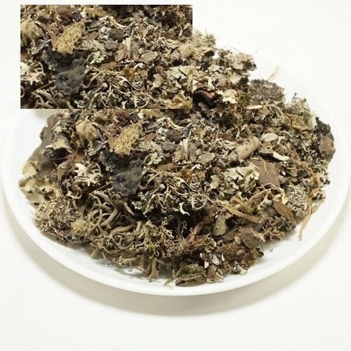 Chadila – Fleurs de Pierre – Parmelia Perlata 1 KG | eBay