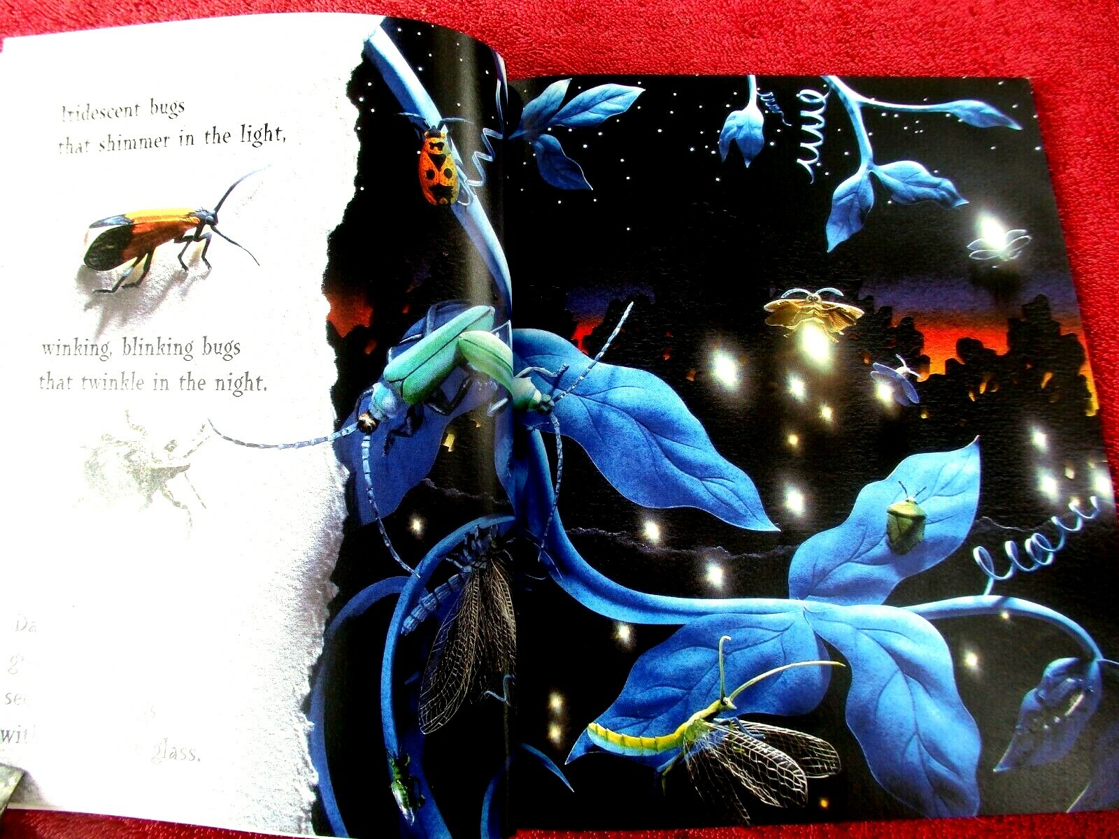 HAVE YOU SEEN BUGS ? BY JOANNE OPPPENHEIM AND RON BRODA 1998 [PAPER ...