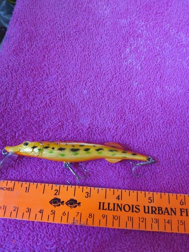 CABELA'S Real Image Fishing Lure Orange | eBay