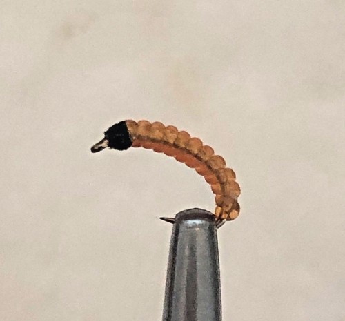 WILLOW GRUB MAGGOT TROUT FLY FISHING FLIES AMBER -12 FLIES X SIZE #20 | eBay