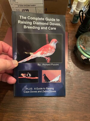 Complete Guide to raising Diamond Doves,+ Cape and Zebra Doves NO ...