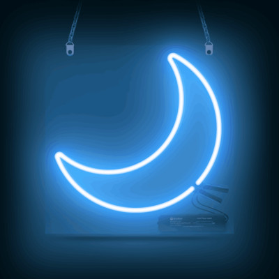 Blue Moon Neon Sign Light Beer Bar Pub Wall Decor Nightlight for ...