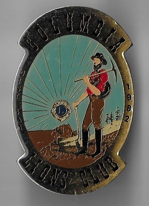 LIONS CLUB COLUMBIA DIST 4AI 1982 2-1/2" x 1-1/2" HAT LAPEL PIN PINBACK ...