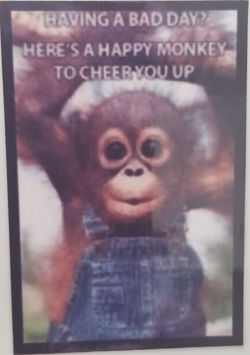 Having A Bad Day Cheer Up