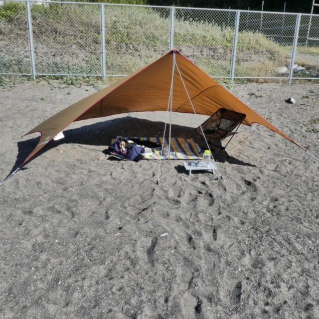 Snow Peak Out Of Print Pentaise Pentashield | eBay