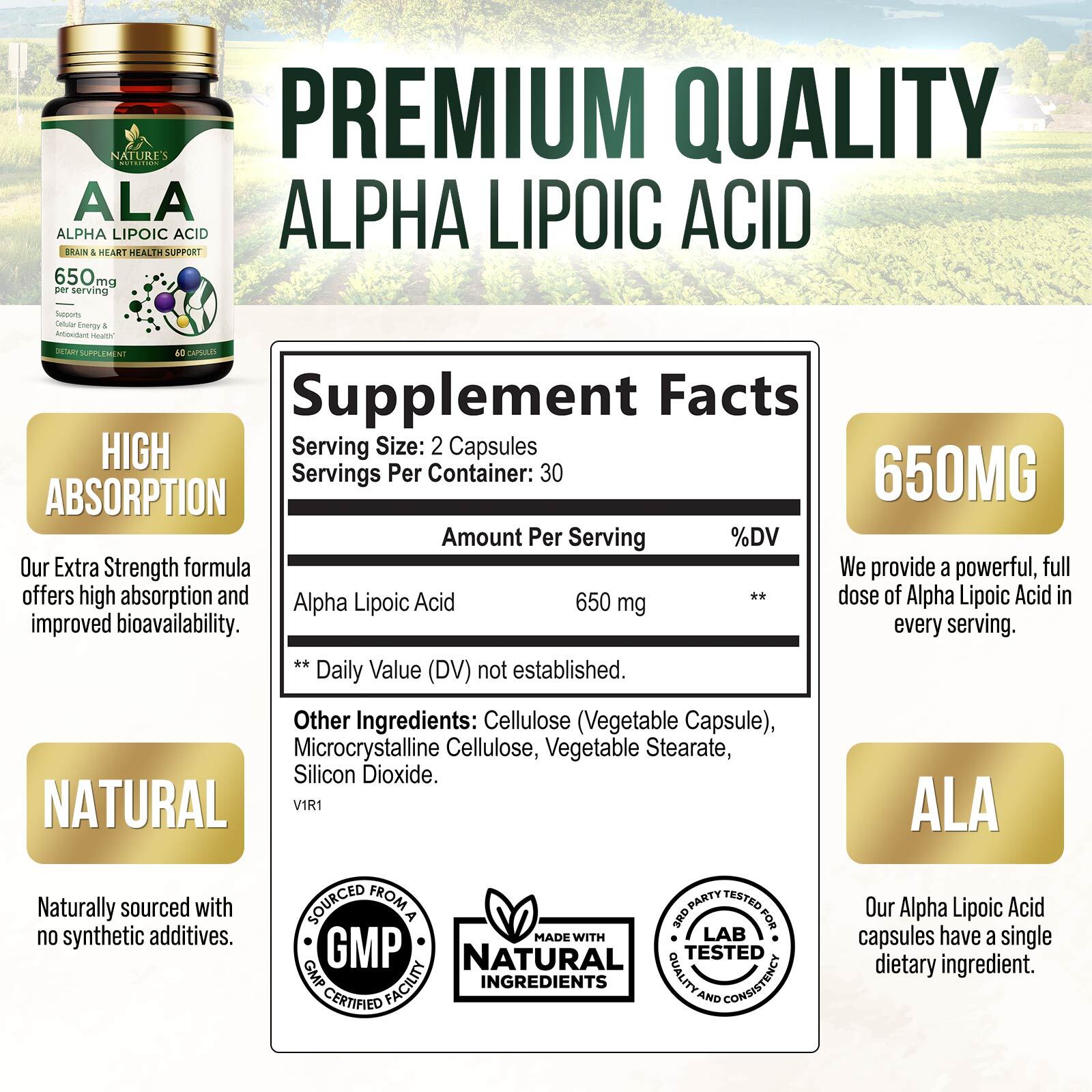 Alpha Lipoic Acid 650mg Extra Strength ALA Supplement Non GMO & Gluten ...