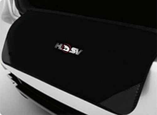 Genuine HSV Boot Lip Protector Revised Version for Holden Sedan Wagon ...