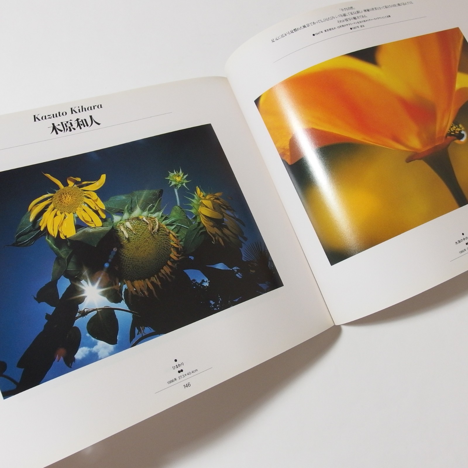 "Flowers, Nature and Greenery" Photo Album Jun Miki Shotaro Akiyama ...